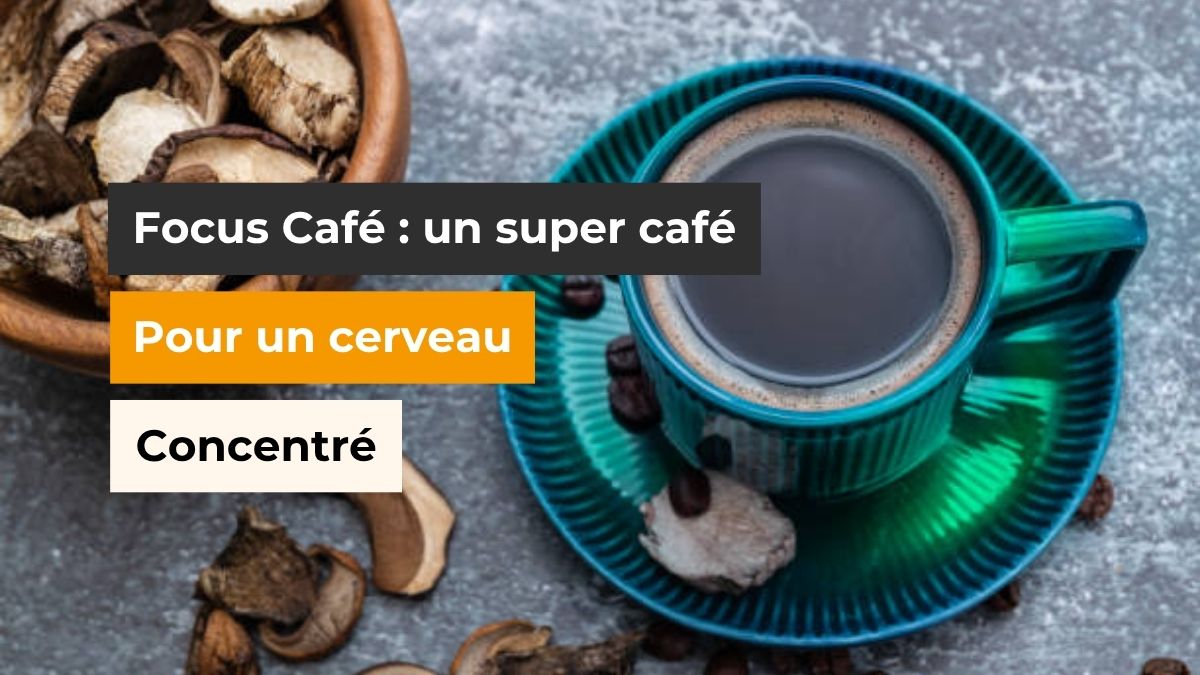Focus Café : un super café pour un cerveau super concentré